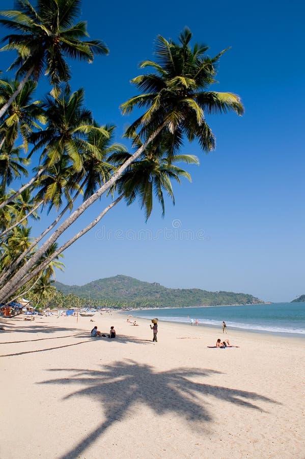 Palolem beach stock image. Image of plant, shadow, paradise - 2288059