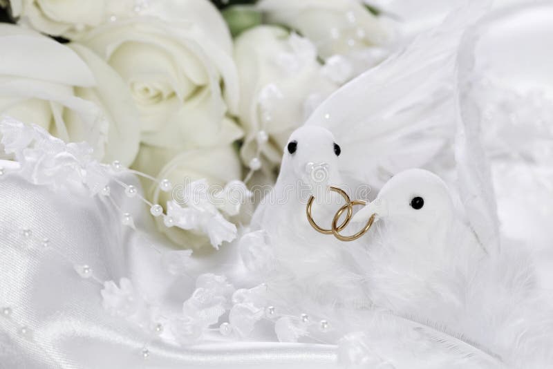 Palomas Blancas Con Los Anillos De Bodas Imagen de archivo - Imagen de ... Palomas Blancas Con Los Anillos De Bodas Imagen de archivo - Imagen de ...