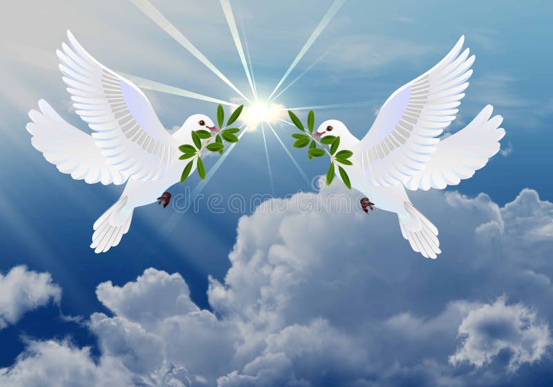 Palomas de la paz stock de ilustración. Ilustración de santo - 23711309