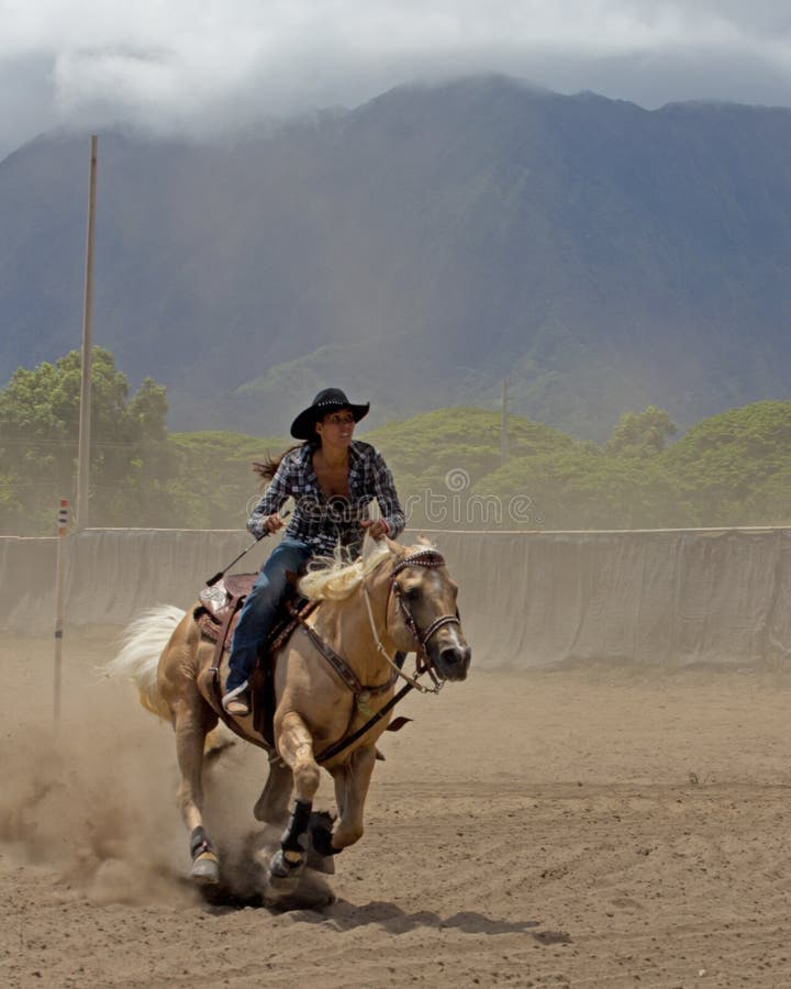 Palomino editorial stock photo. Image of equus, pole - 21424958