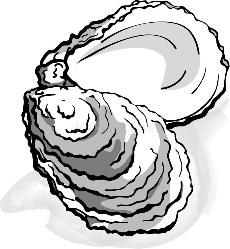 Palourde De Coquille De Fruits De Mer D'huître - Illustration ... Palourde De Coquille De Fruits De Mer D'huître - Illustration ...