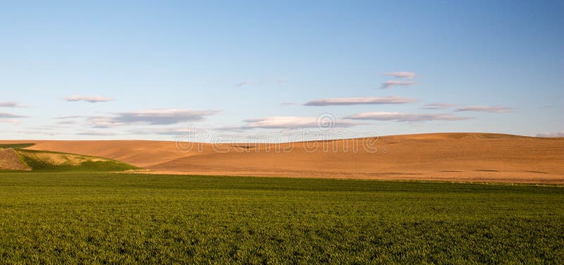 Palouse country stock image. Image of blue, field, nature - 47929193