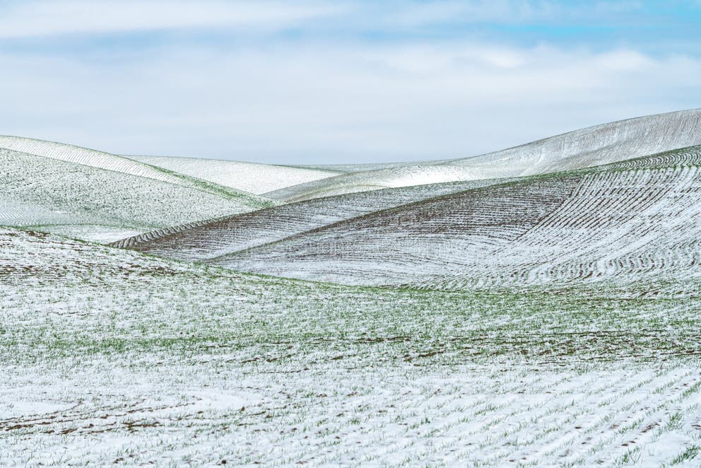 Palouse Fields in Early Spring Stock Photo - Image of travel, fields ...