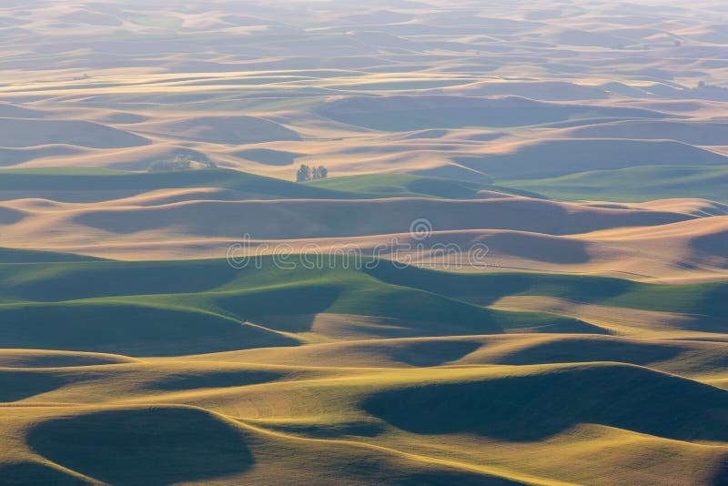 Palouse Fields stock image. Image of wheat, state, hills - 61580985