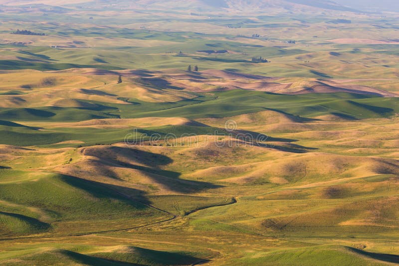 Palouse Fields stock image. Image of wheat, state, hills - 61580985