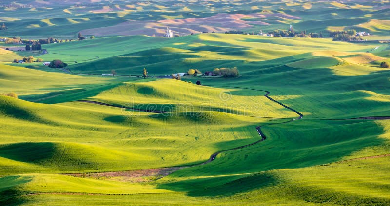 Palouse Green Wheat Fields, Seen from Steptoe Butte State Park, Palouse ...