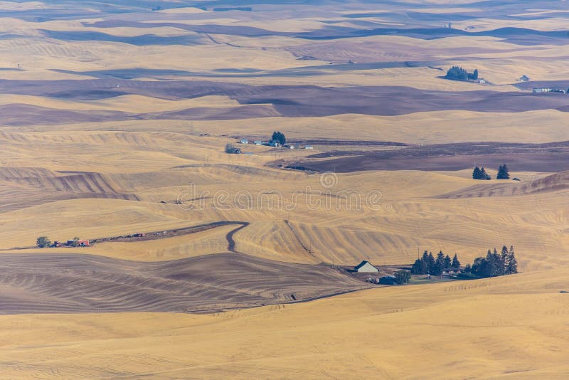 Palouse harvest time stock image. Image of harvest, hills - 81488027