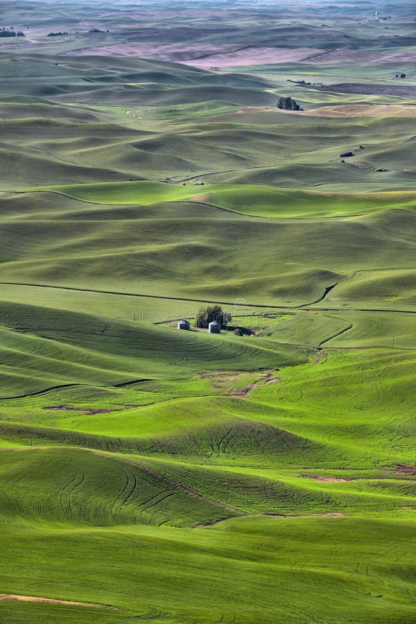 Palouse landscape stock image. Image of farmland, rolling - 80714057