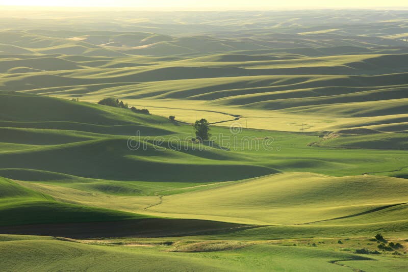 Palouse landscape stock image. Image of grass, park, pattern - 72629315