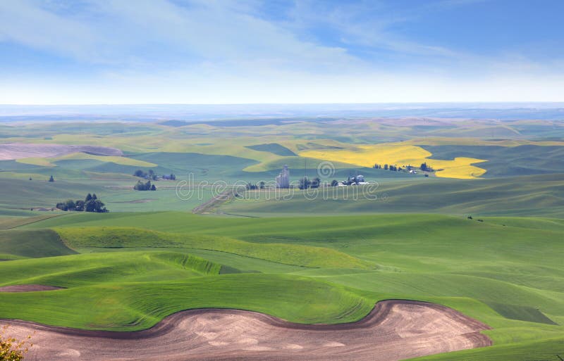 Palouse landscape stock image. Image of park, grass, cereal - 52053179