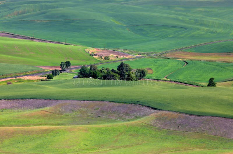 Palouse landscape stock photo. Image of agriculture, hills - 56528232
