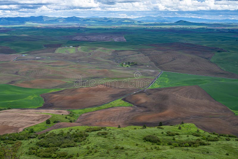Palouse in Late Spring stock photo. Image of quiet, agriculture - 249392970