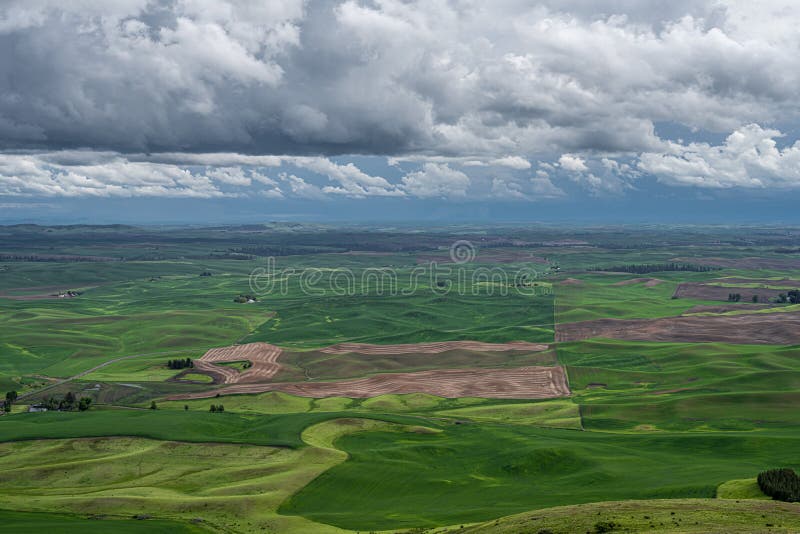 Palouse in Late Spring stock image. Image of rural, palouse - 249392973