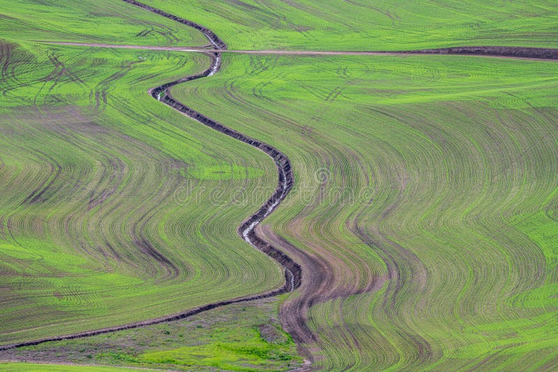 Palouse in Late Spring stock photo. Image of rural, spring - 249392994