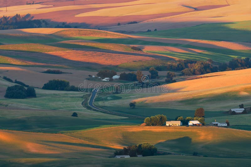 Palouse-Region Von Ost-Washington Stockbild - Bild von gold, bukolisch ...