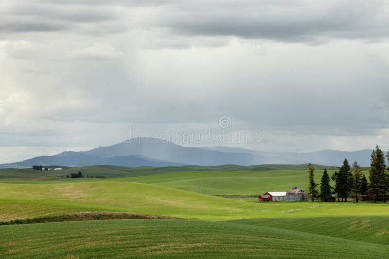 A View of the in Palouse Valley Washington Stock Photo - Image of ...