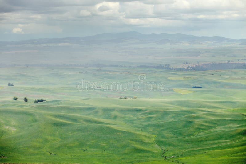 An Overhead View of the in Palouse Valley Washington Stock Image ...