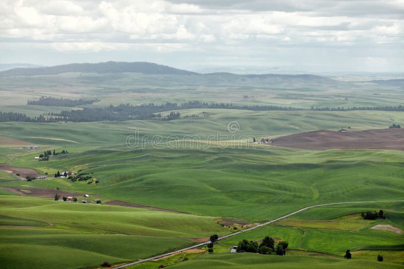 Palouse valley Washington stock photo. Image of agricultural - 254445056