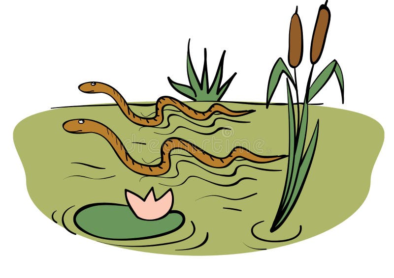 Palude Illustrazioni, Vettoriali E Clipart Stock – (24,247 ...