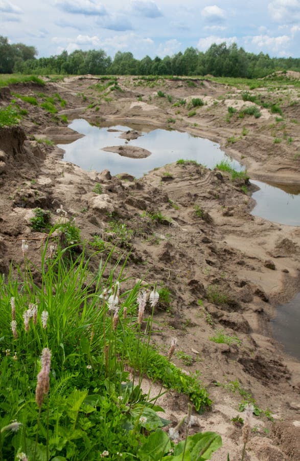 Palude fotografia stock. Immagine di conservazione, nessuno - 22754420