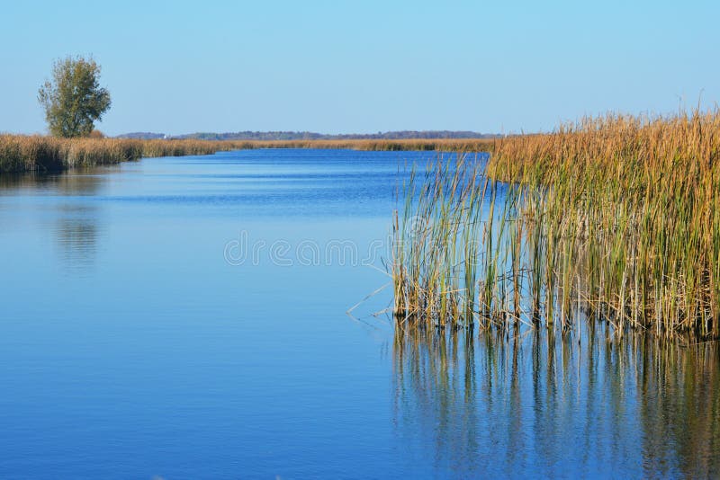 Palude fotografia stock. Immagine di paesaggio, lago - 88162056