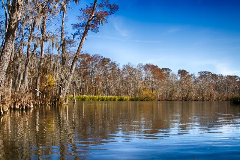 Paludi di New Orleans fotografia stock. Immagine di nave - 45322934