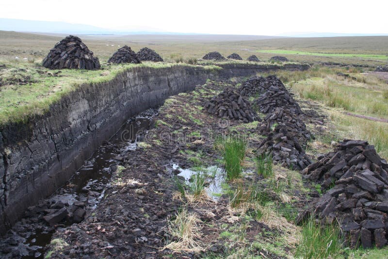 Paludi di torba immagine stock. Immagine di palude, combustibile - 11066565