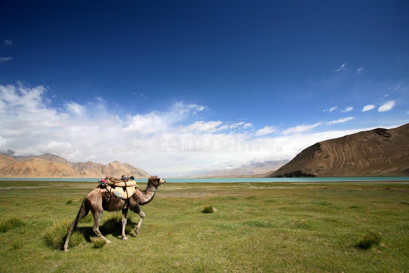 The pamir plateau stock photo. Image of clouds, china - 11474532