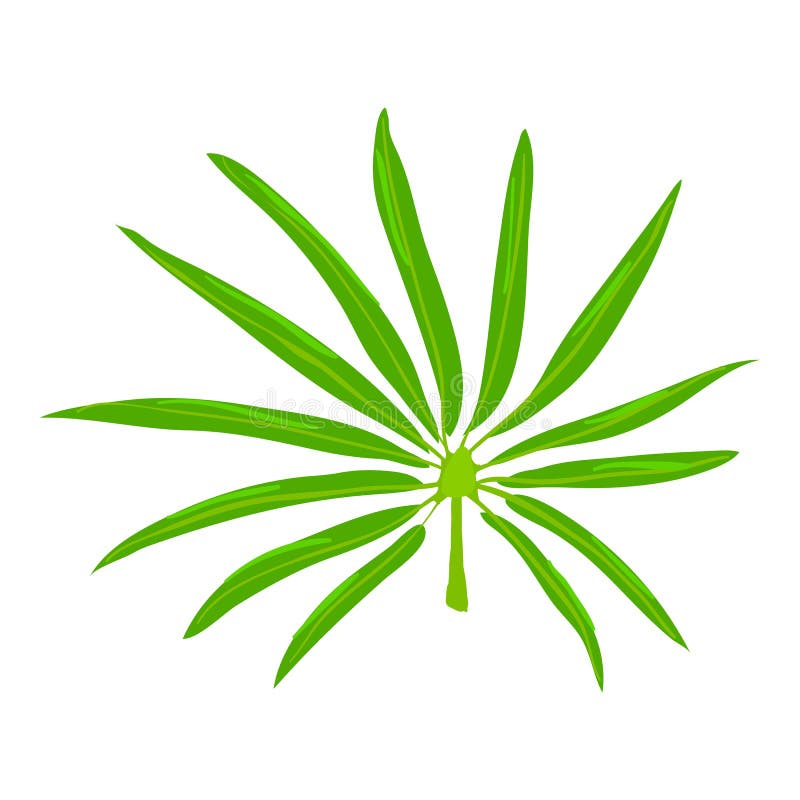 Paml Stock Illustrations – 12 Paml Stock Illustrations, Vectors ...