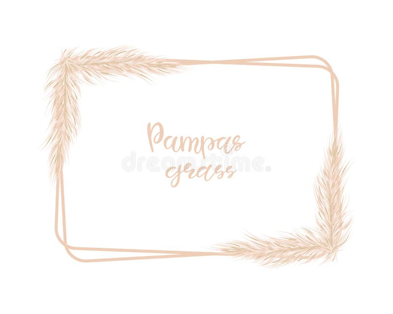 Pampas Grass Rectangular Background. Decor of Invitations and Postcards ...