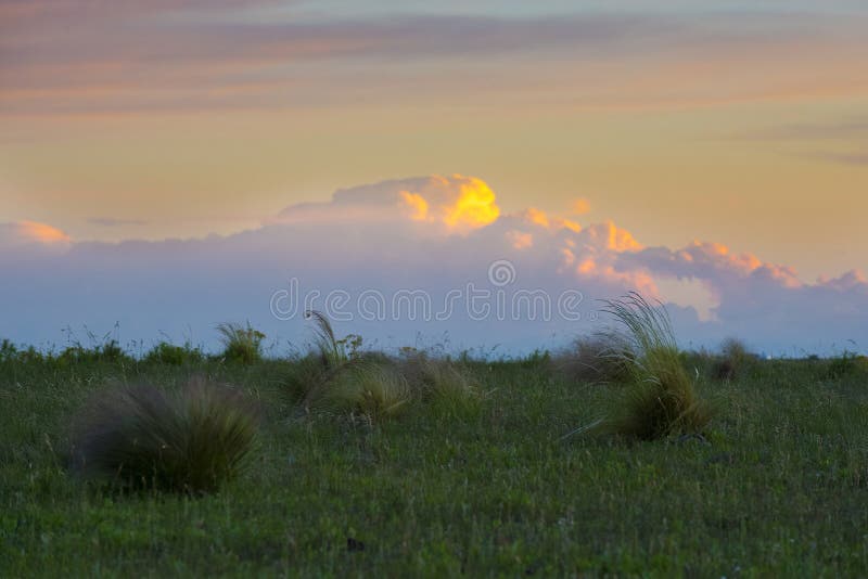 Pampas Landscape, La Pampa, Stock Photo - Image of landscape, weather ...
