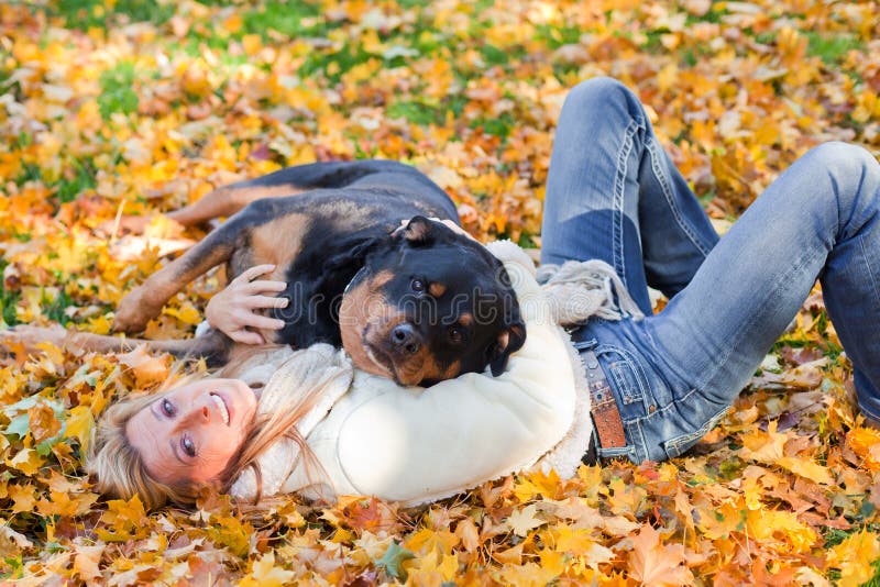 Pampered pets stock image. Image of gardening, chores - 27256861