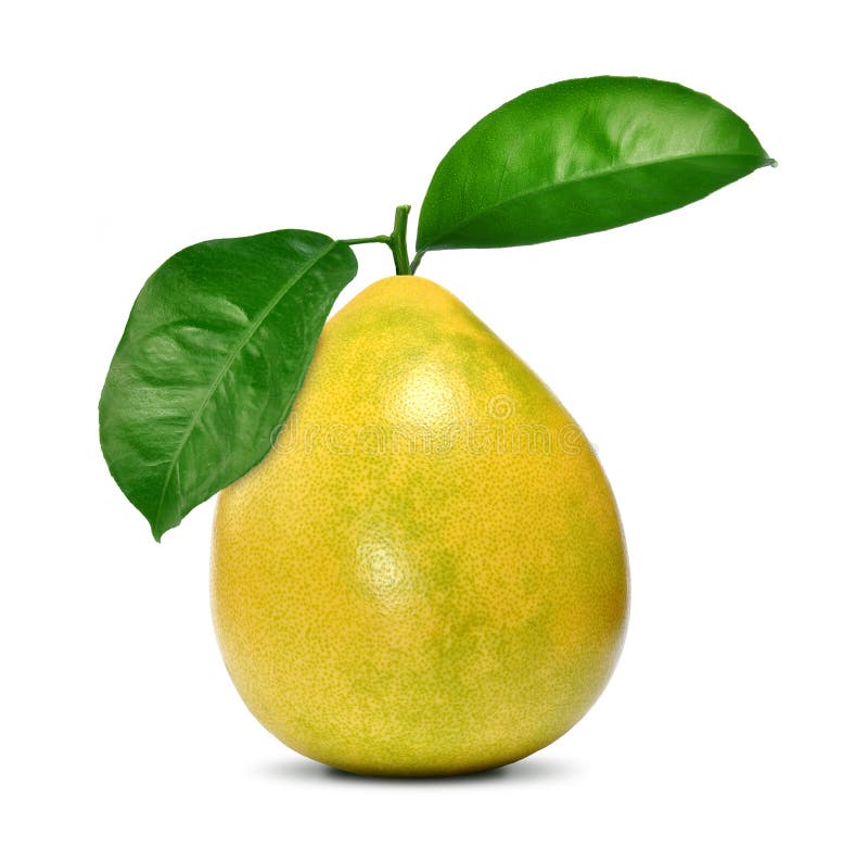 Pamplemousse rouge photo stock. Image du rouge, pamplemousse - 17857214