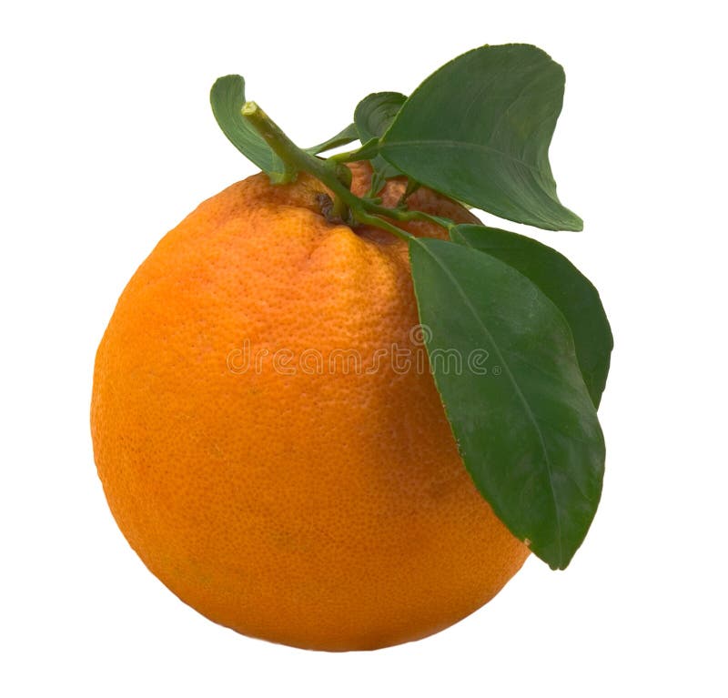 Pamplemousse image stock. Image du découpage, complètement - 2384069