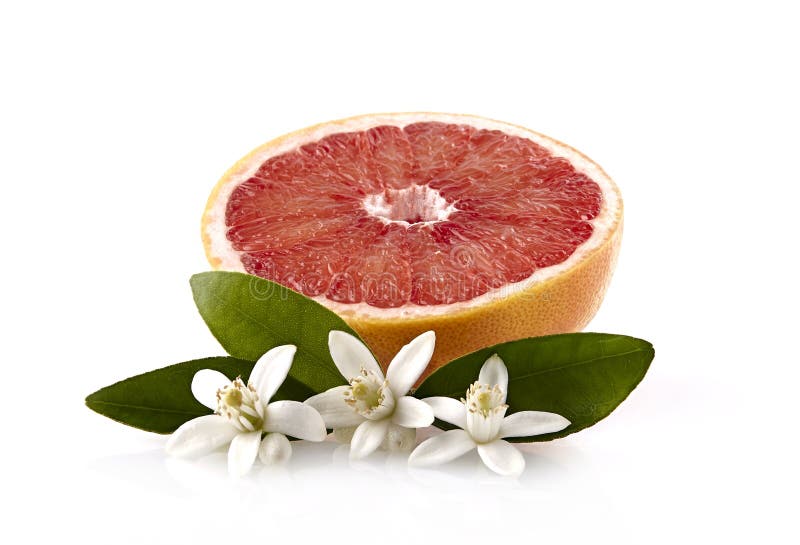 La fleur du pamplemousse photo stock. Image du pourpré - 36498458