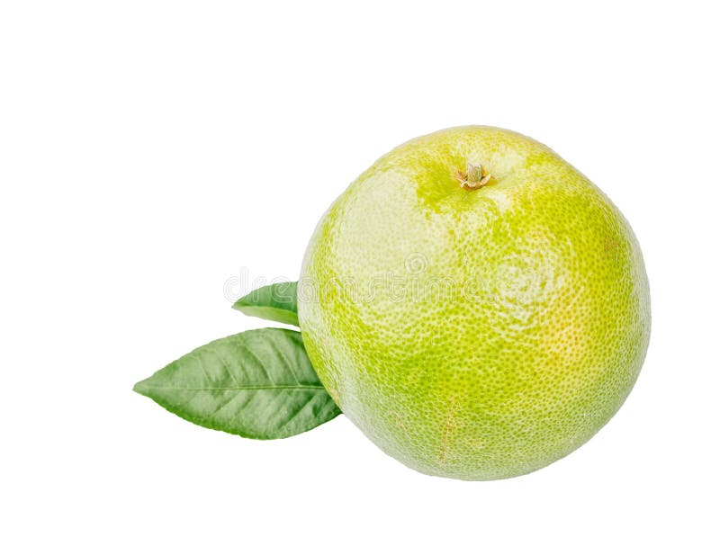 Pamplemousse Entier D'isolement Sur Un Fond Blanc Image stock - Image ...