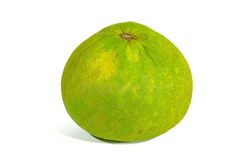 Pamplemousse vert image stock. Image du part, chaux, fruits - 48360885