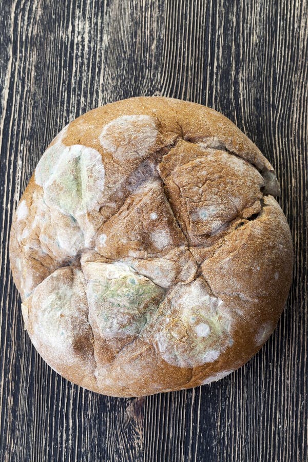 Hongo Del Pan Fotos De Stock - Descarga 1,337 Fotos Libres de Derechos