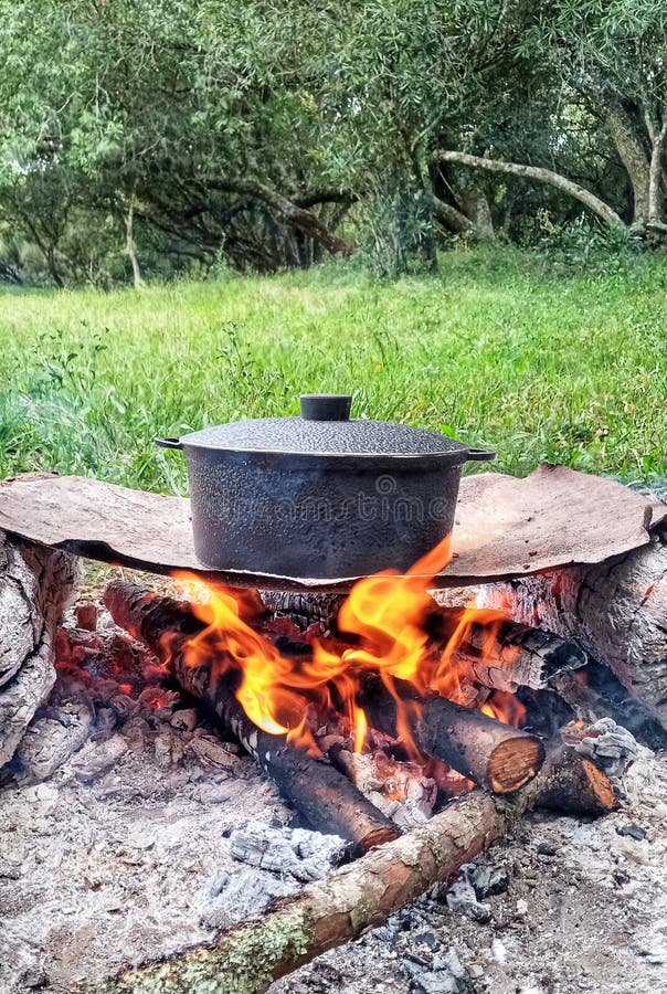 Pan on the Camp Fire on a Beautiful Summer Day in a Rural Area in the ...