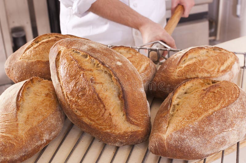 Pan cocido al horno fresco foto de archivo. Imagen de cereal - 24078678