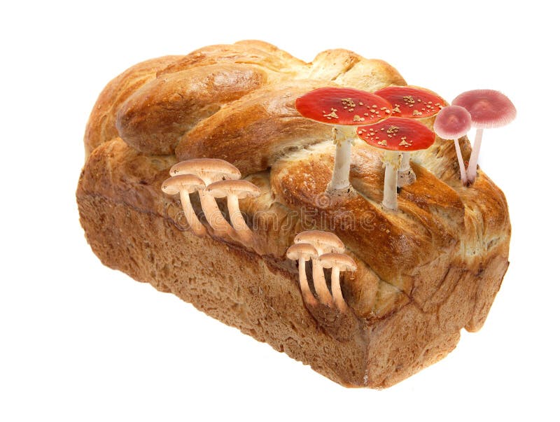 Hongo en el pan foto de archivo. Imagen de textura, salud - 9754394