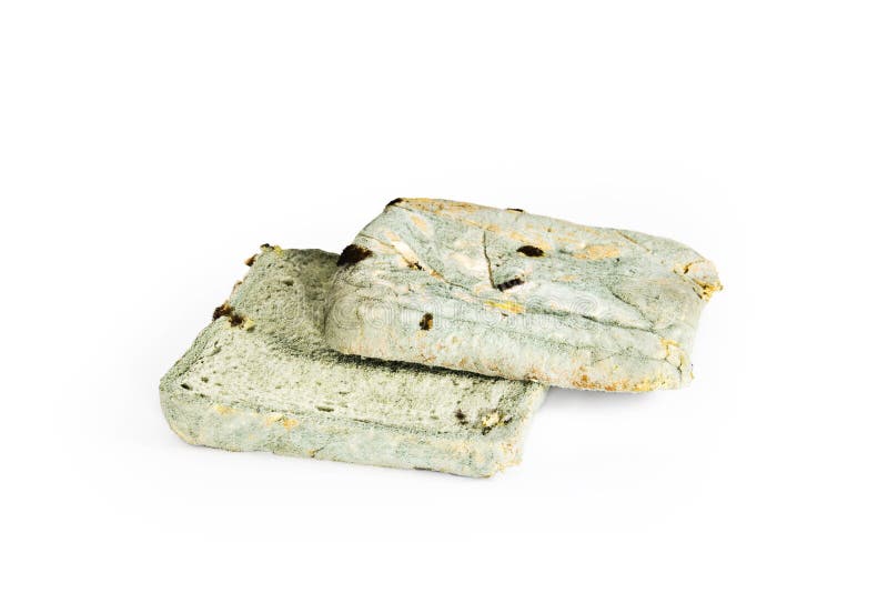 Pan con el hongo foto de archivo. Imagen de bacterias - 49711120