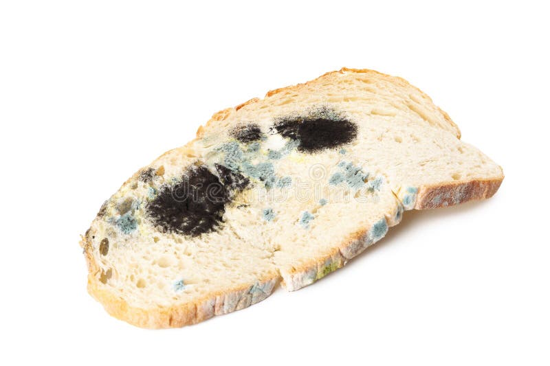 Pan Con Moho Aislado En Fondo Blanco Foto de archivo - Imagen de ...
