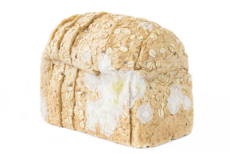 Hongo en el pan foto de archivo. Imagen de textura, salud - 9754394