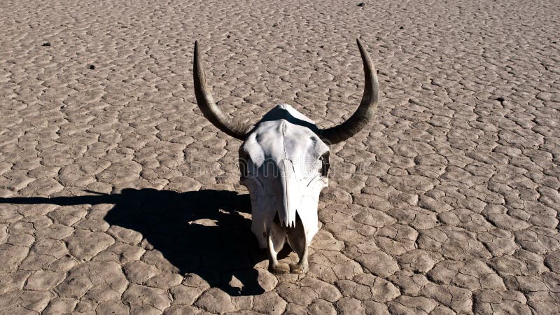 There is a high chance that at some stage of our lives we will bump ...