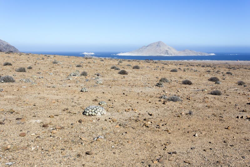 Pan de Azucar park stock image. Image of cactus, park - 181404319