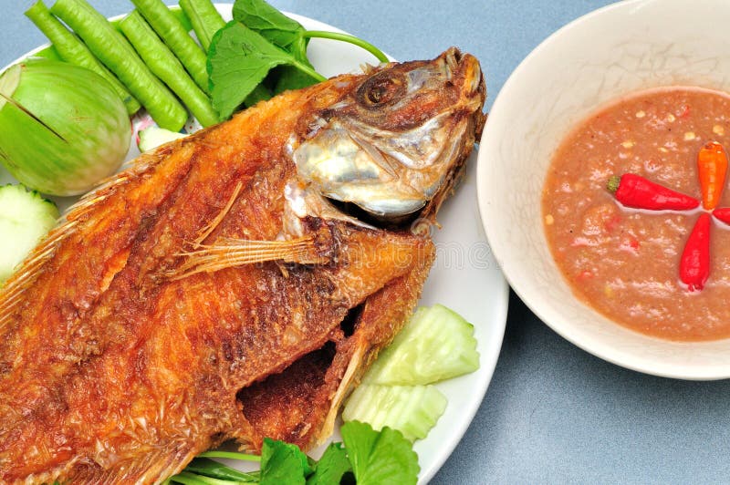 Steam fish stock photo. Image of delicious, nature, steam - 17963442