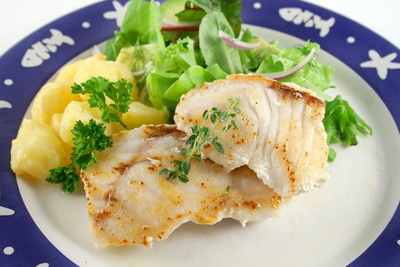 Pan Fried Fish stock image. Image of nourishing, appetizing - 5108723