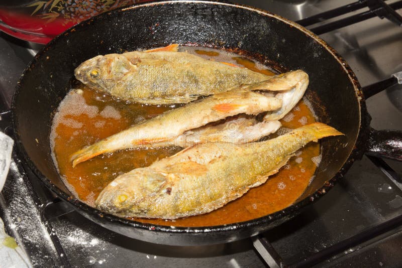 Pan fried perch stock image. Image of gourmet, fish - 104013947