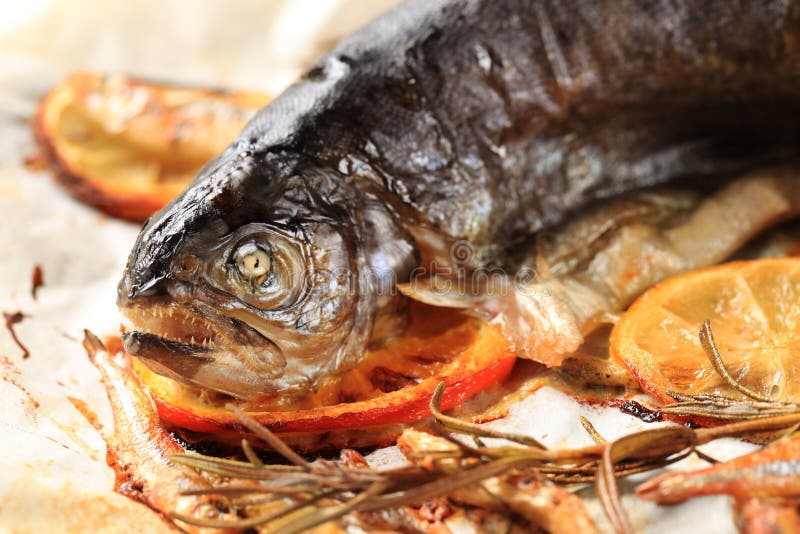 Pan fried trout stock photo. Image of gourmet, fried - 19505366